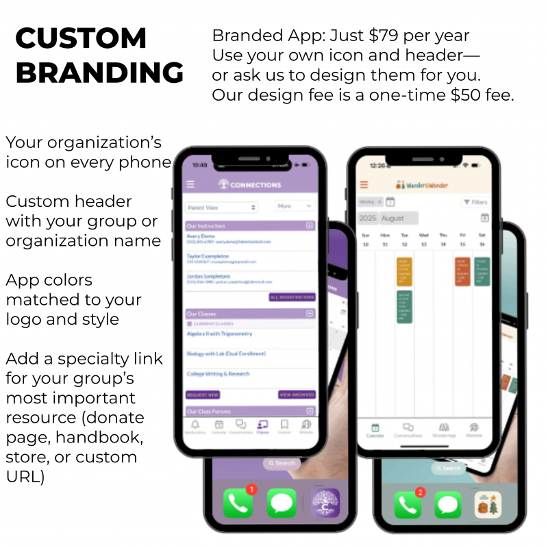 Website Design Options - Connections