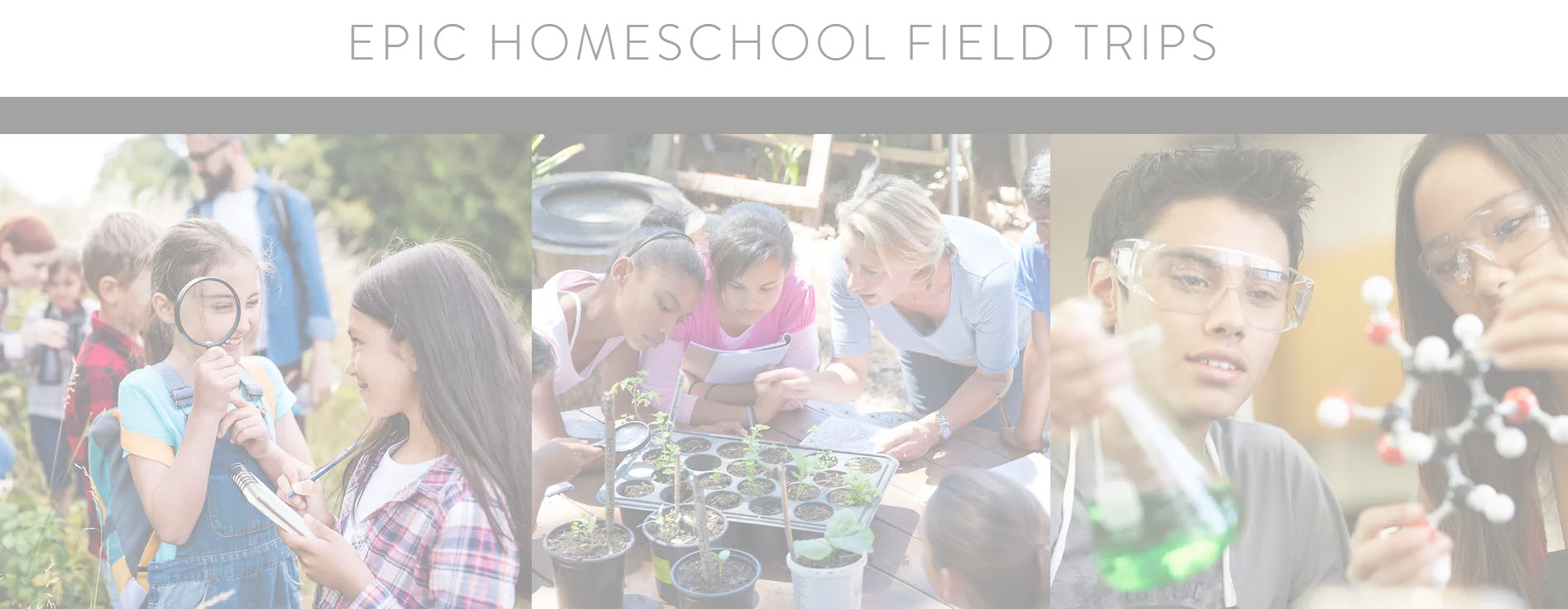 Epic Homeschool Field Trips